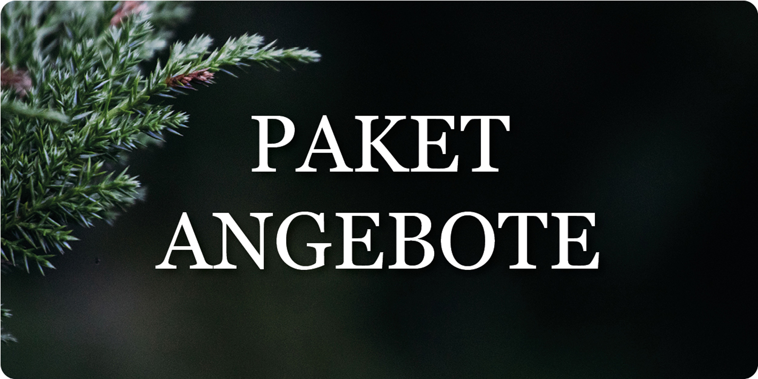 Christlicher Verlag Voice of Hope