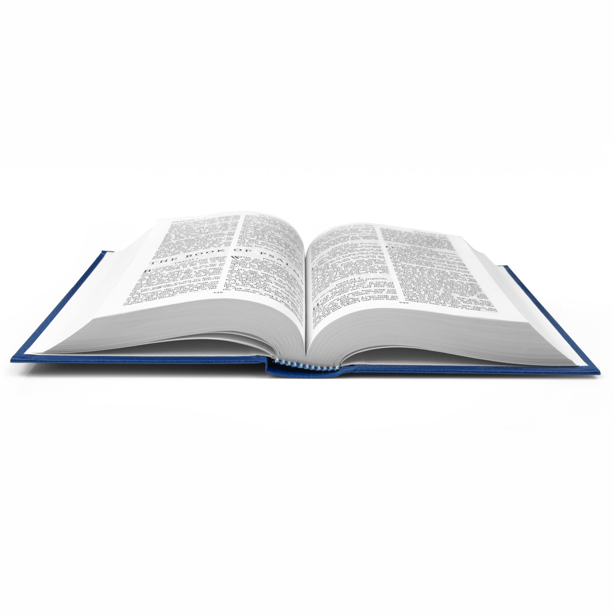 Holy Bible - Hardcover