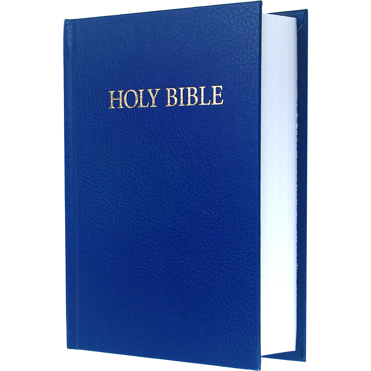 Holy Bible - Hardcover