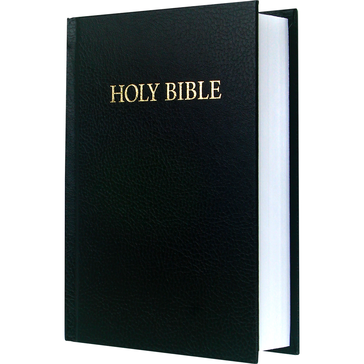 Holy Bible - Hardcover