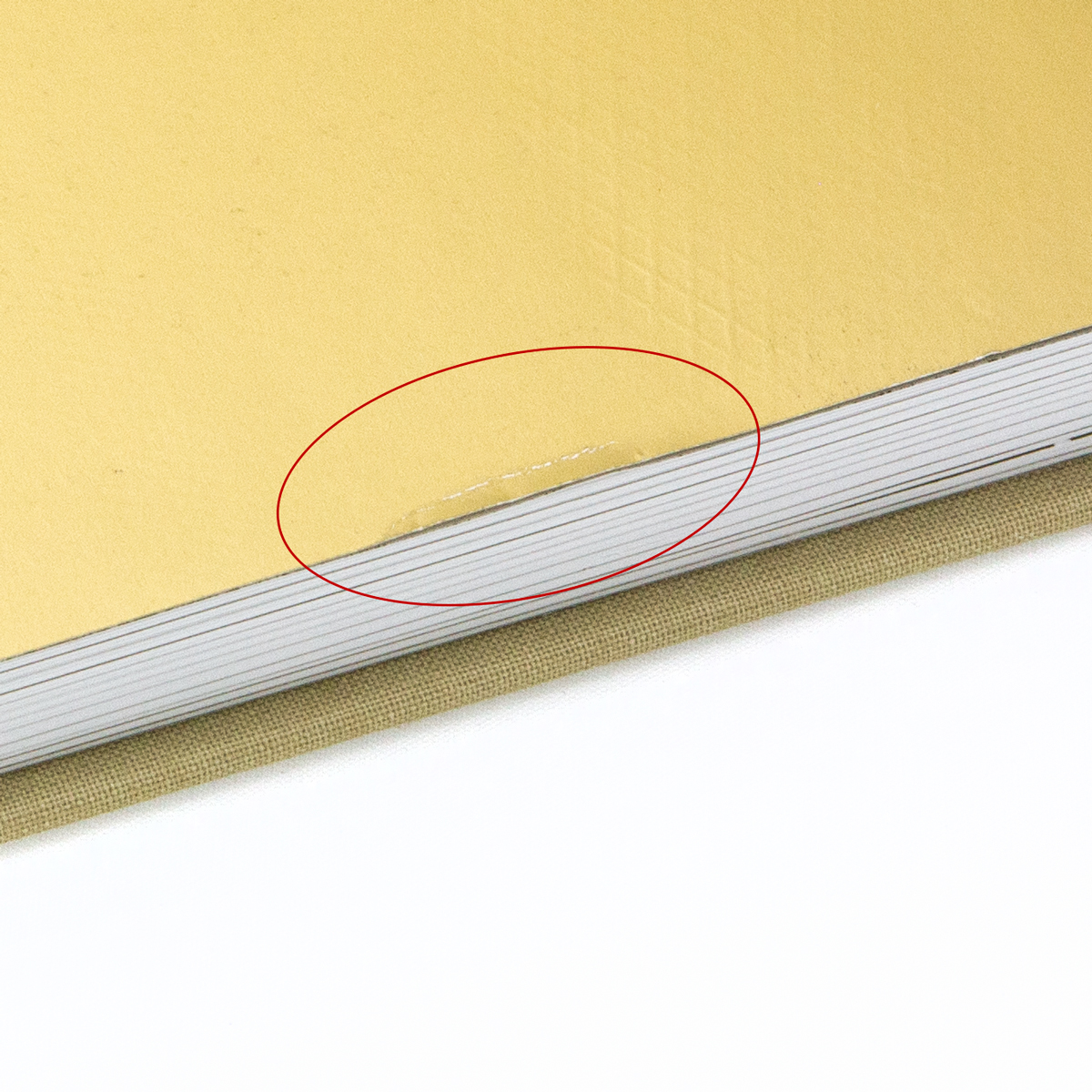 John MacArthur: Jesus allein