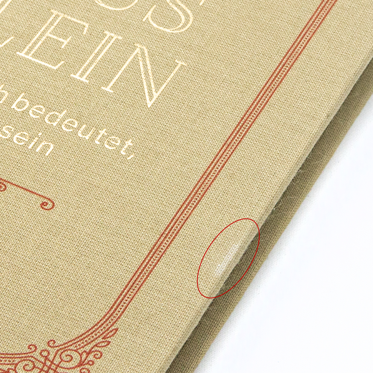 John MacArthur: Jesus allein