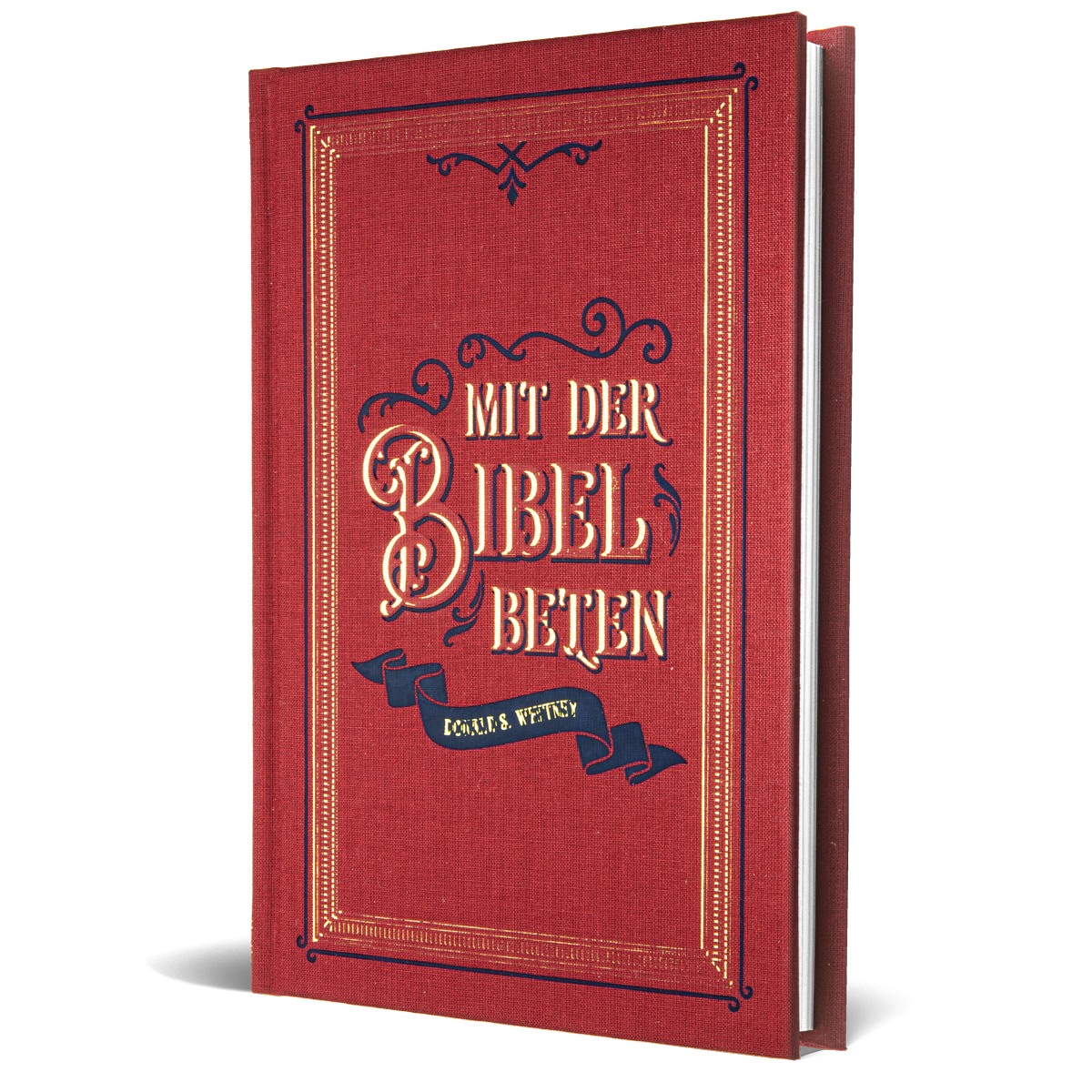 Whitney: Mit der Bibel beten - % Halber Preis